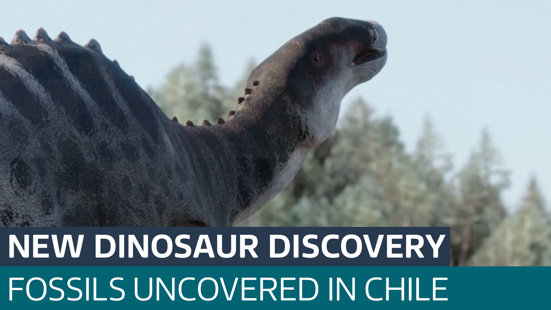 Scientists discover fossilised remains of new species of dinosaur in ...